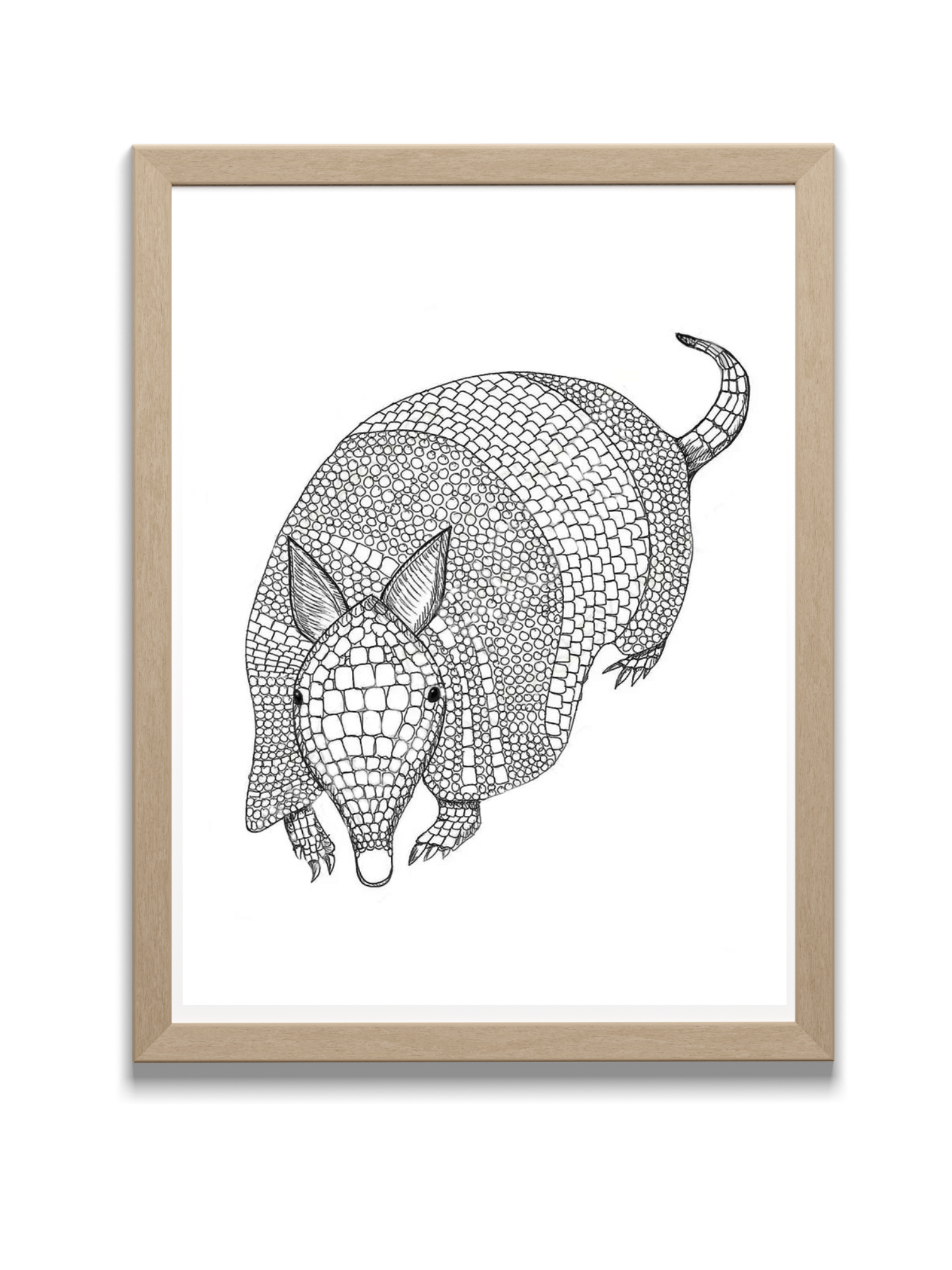 Armadillo Print