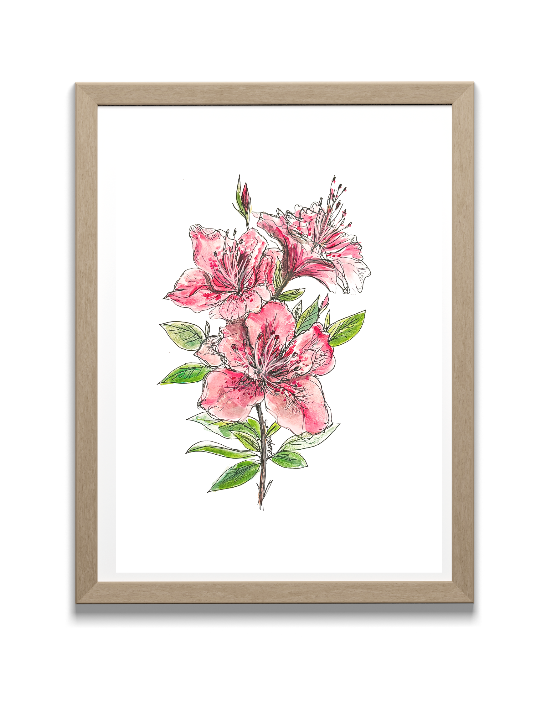 Azalea Watercolor Print